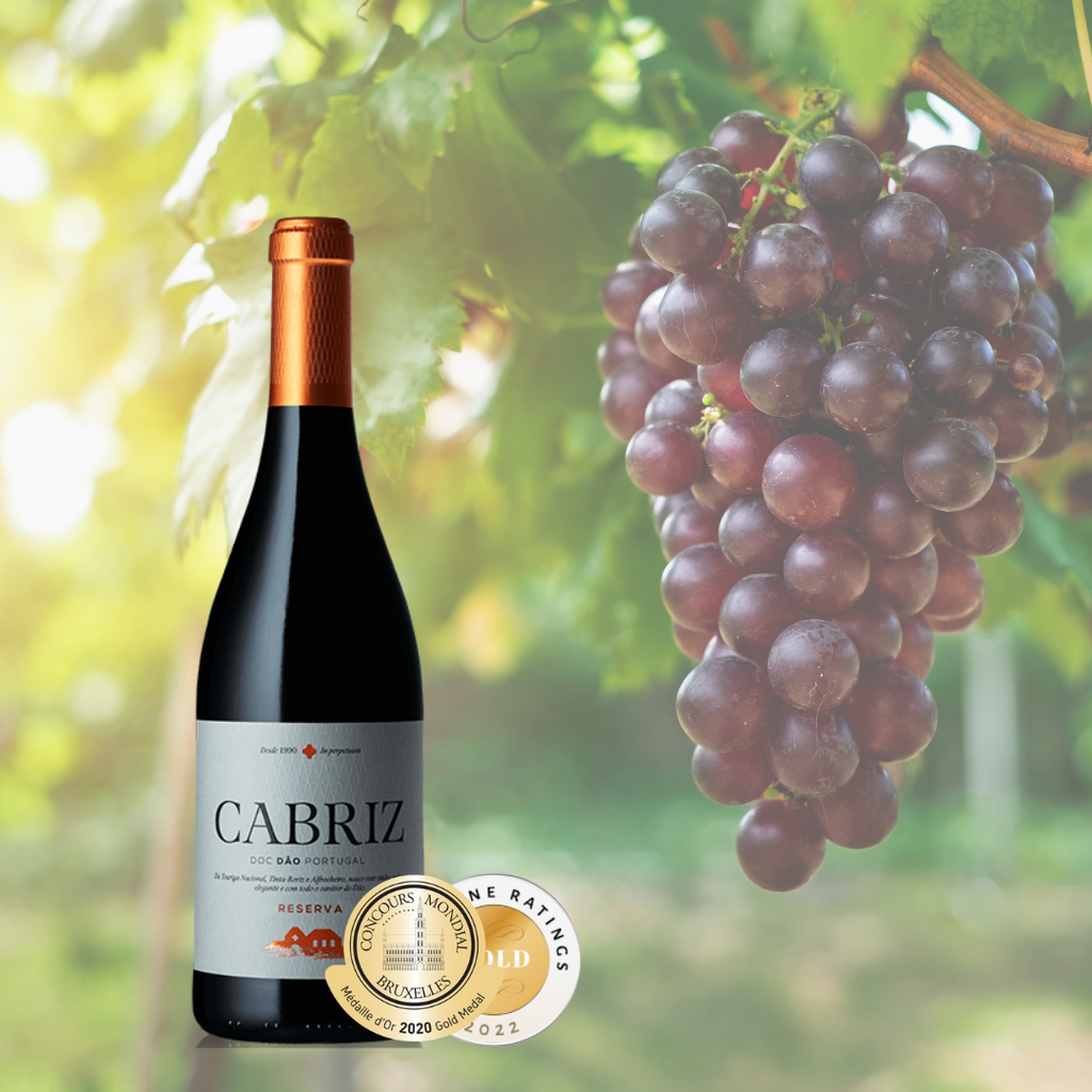 Cabriz Reserva DOC Dão Tinto 750ml – Taste of Portugal